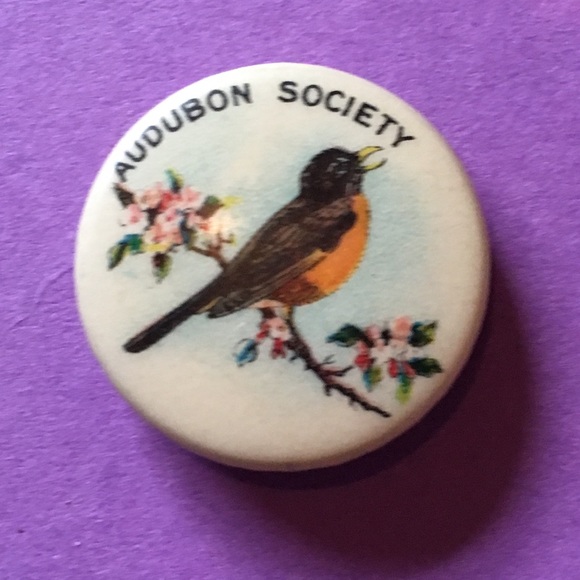 bastian | Jewelry | Vintage Audubon Society Robin Bird Pin | Poshmark